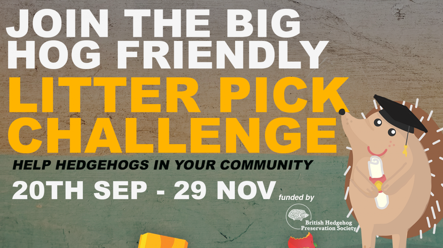 The Big Hog-Friendly Litter Pick Challenge - Sustainability at The ...