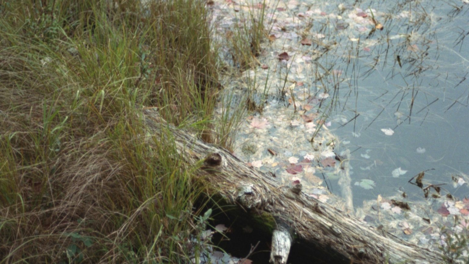The Silent Threat Beneath the Surface: Microplastics in Our Rivers ...