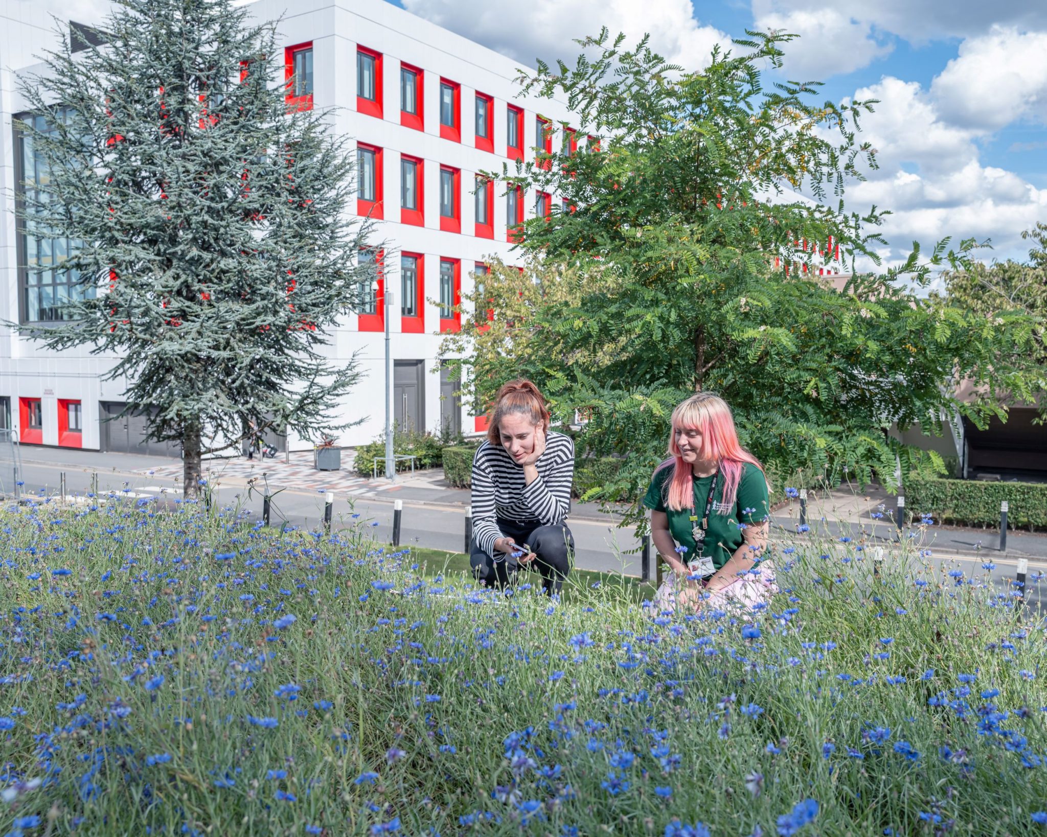 Boosting Biodiversity: Dedicating my summer to protecting campus ...